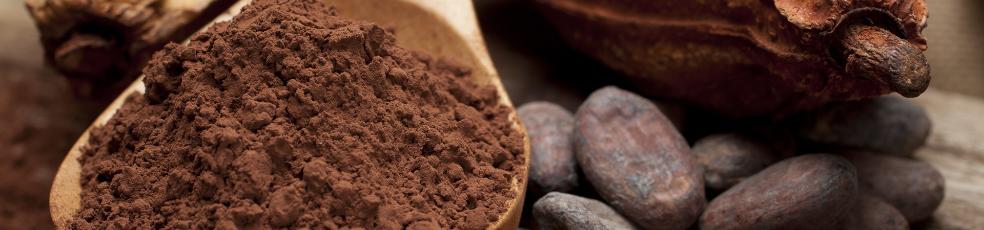 Steady Uptrend Continues for Cocoa - ADM Investor Services