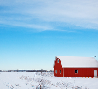 Grains are Lower Finding Resistance - ADM Investor Services