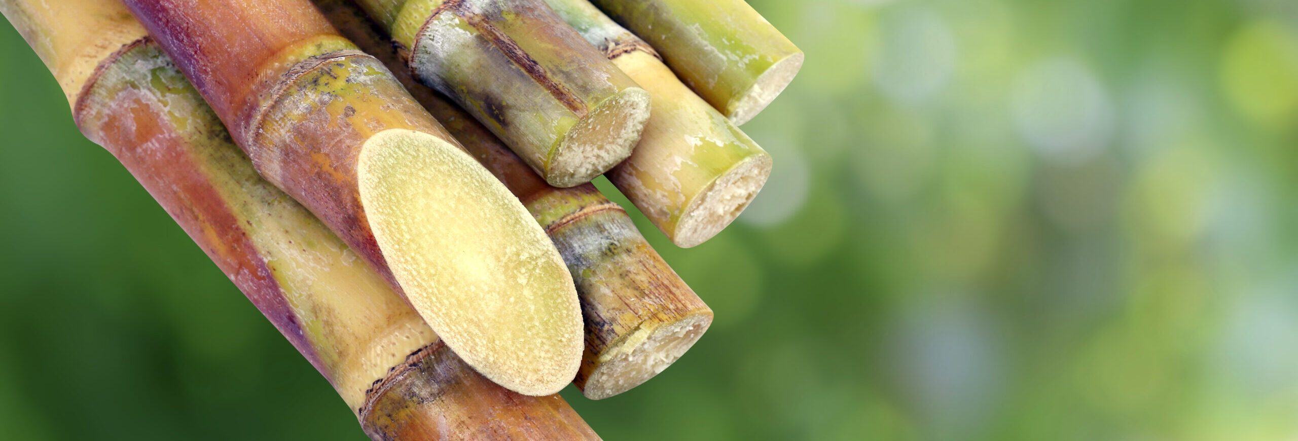 Brazil May Shift More Cane to Ethanol Production - ADM Investor Services