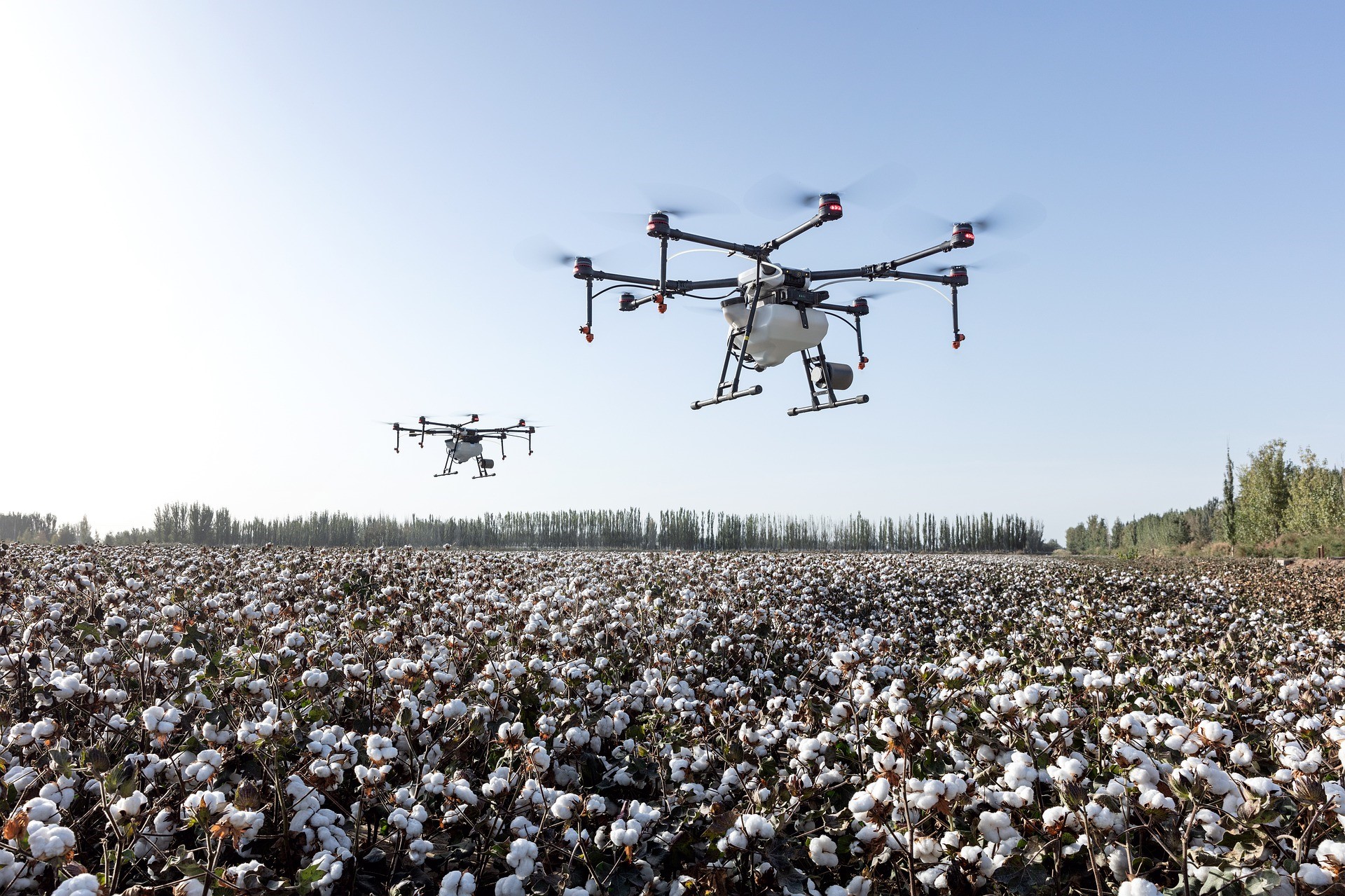 Demand Takes Center Stage in Cotton - ADM Investor Services