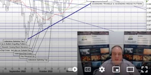 FX Analysis for 30 Nov 2022 - ADM Investor Services