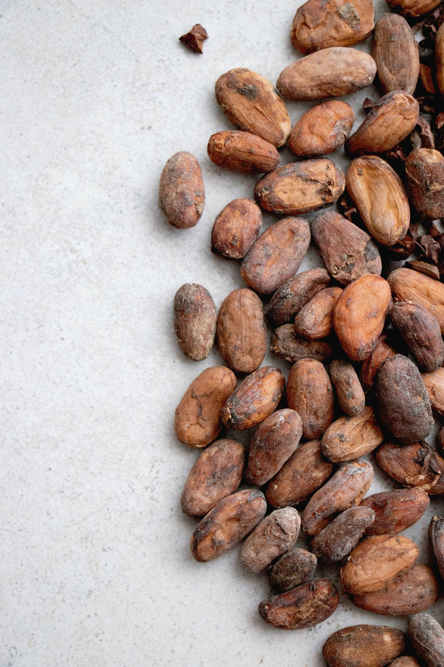 Ivory Coast Suspends Cocoa Bean Sales - ADM Investor Services