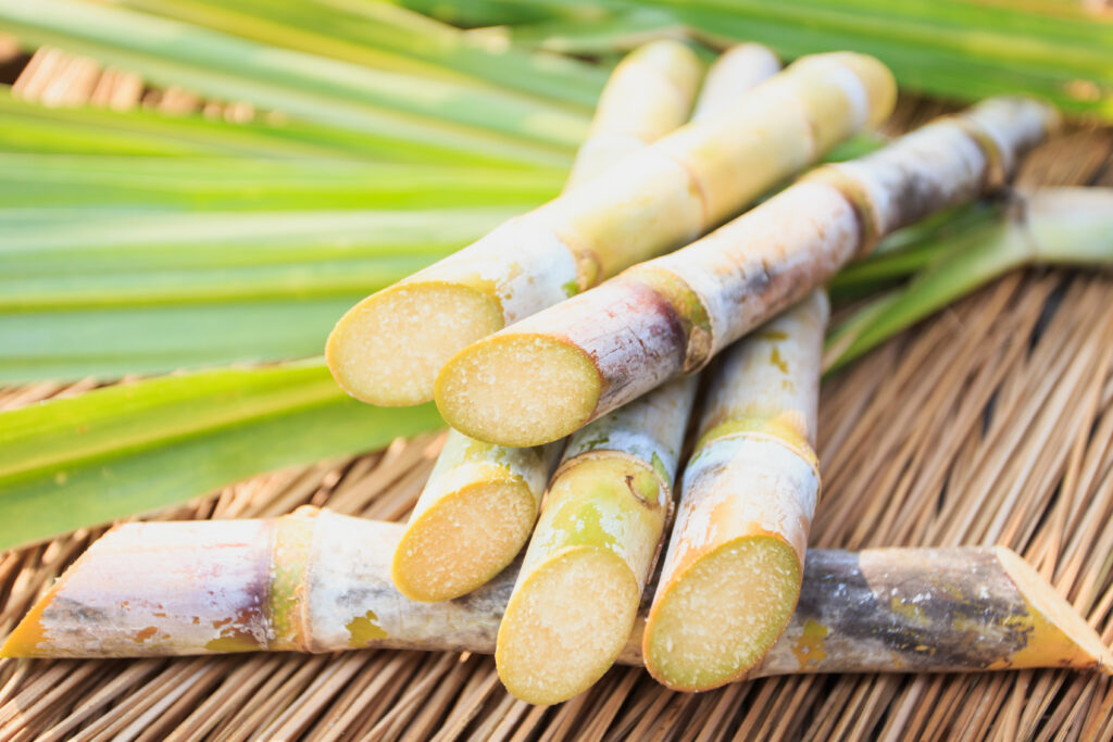 Lower Crude Oil Contribute to Weakness in Sugar - ADM Investor Services