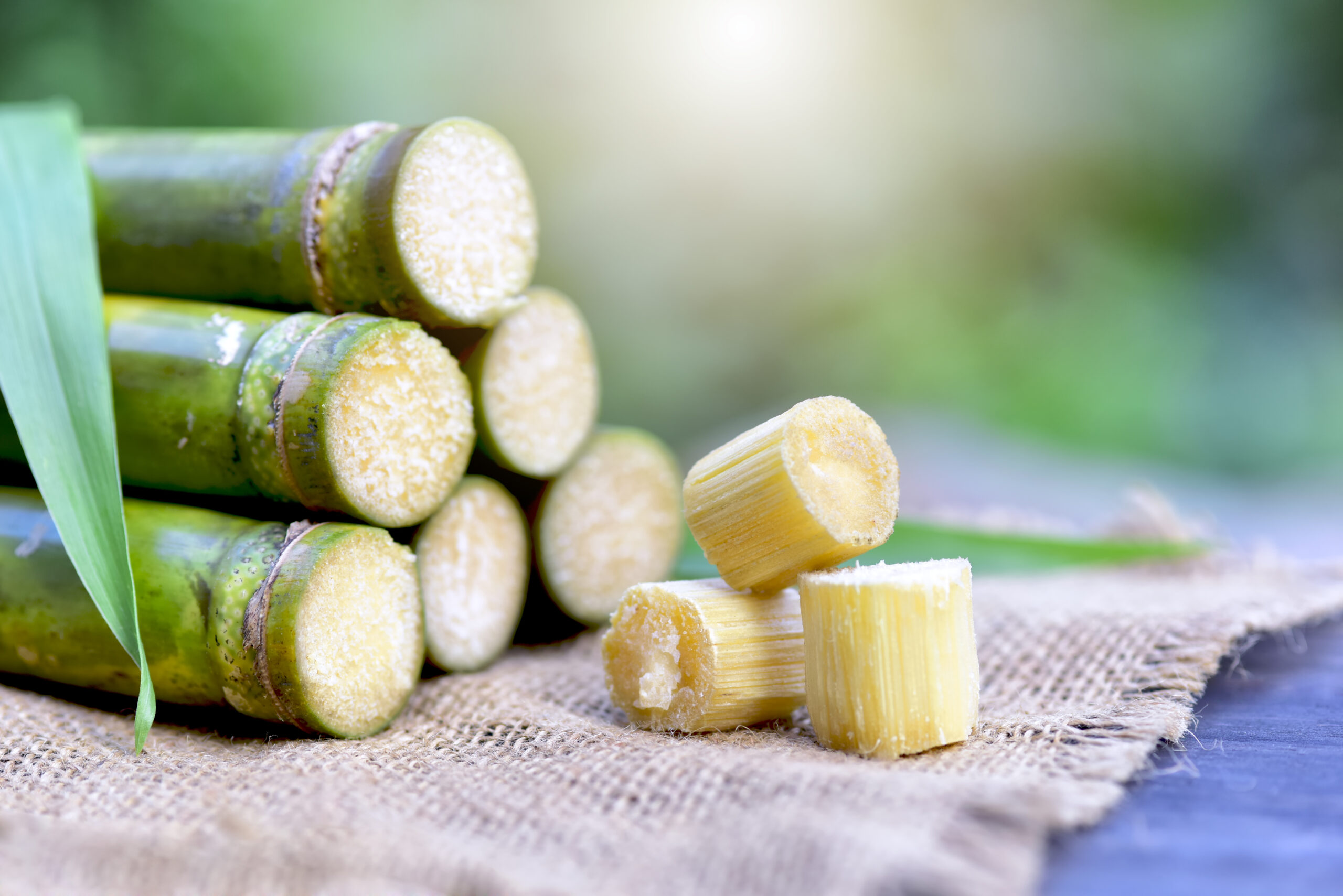 March Sugar Consolidates on Ethanol Shift - ADM Investor Services