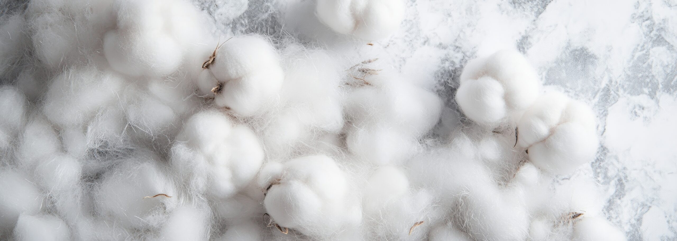 Indian Cotton Consumption Slows - ADM Investor Services