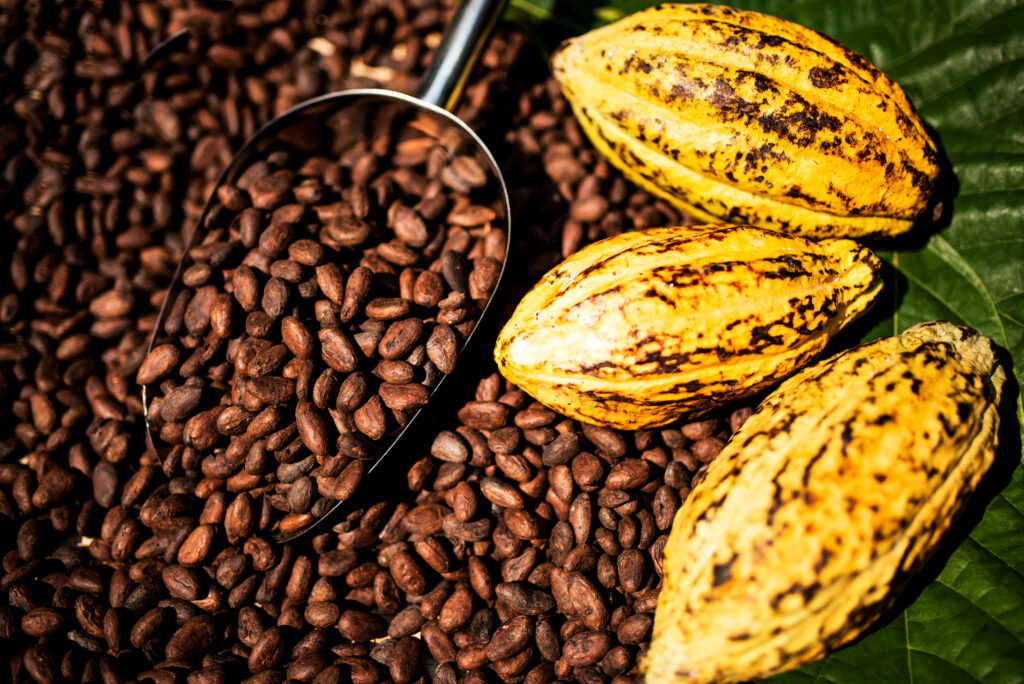 Global Cocoa Surplus Predicted - ADM Investor Services