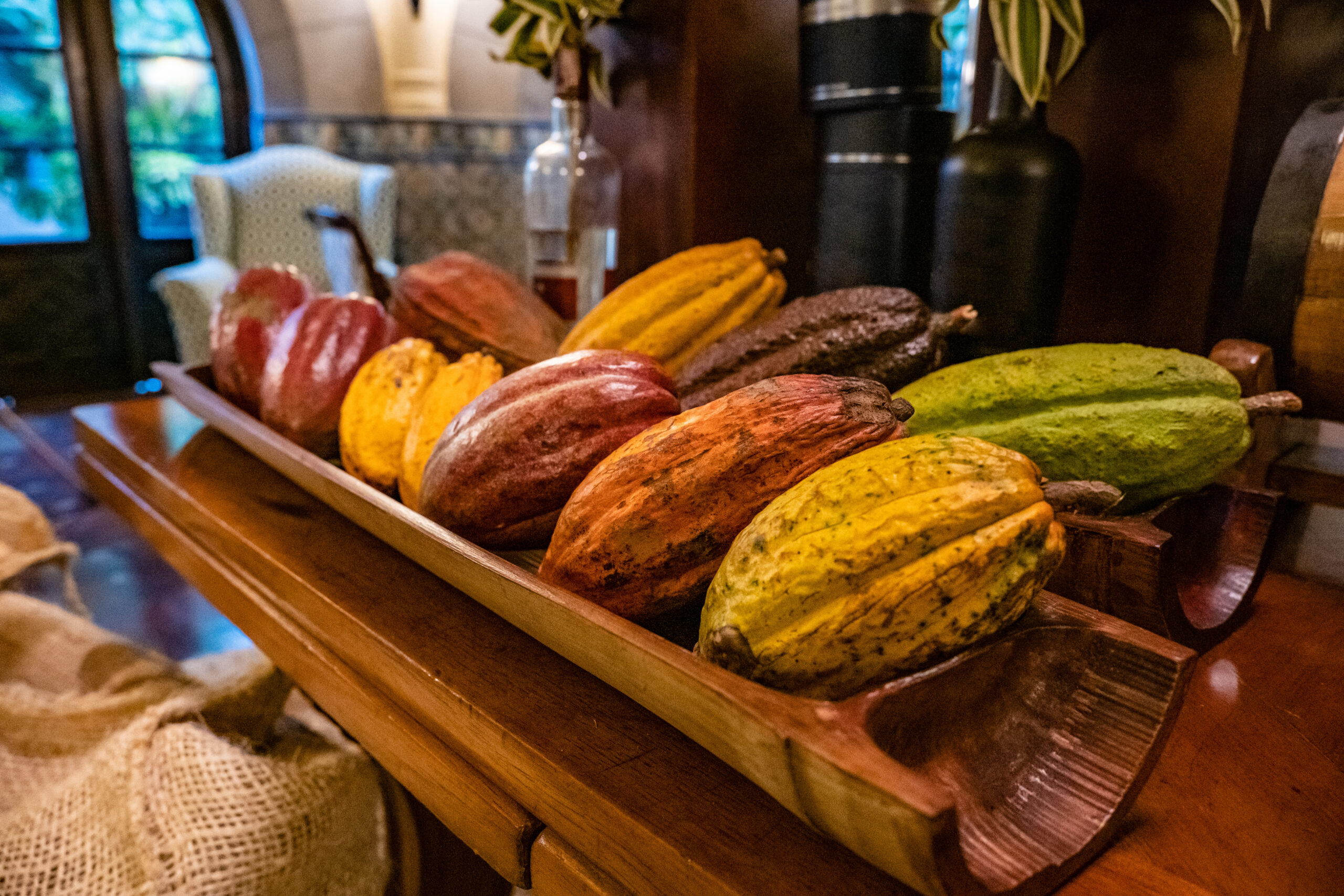 Ivory Coast Arrivals Increase - ADM Investor Services