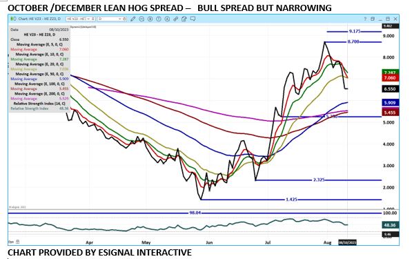 Lean Hogs Downward Trend Continues - Archer Financial Services