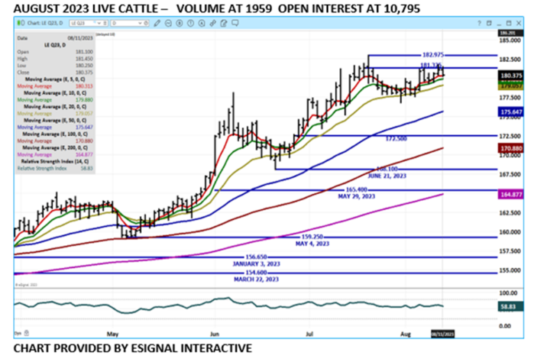 Cash is Over Cattle Futures - Archer Financial Services