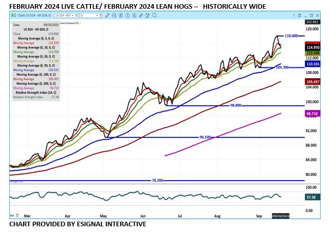 Lean Hogs Shot Up Wed - Archer Financial Services