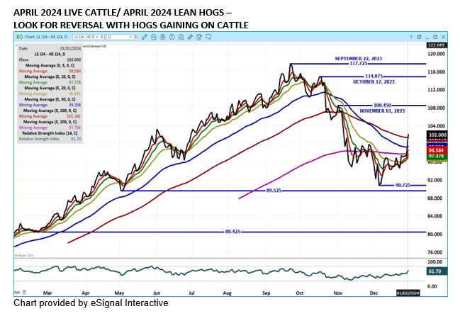 Hogs Drop to Contract Lows - Archer Financial Services