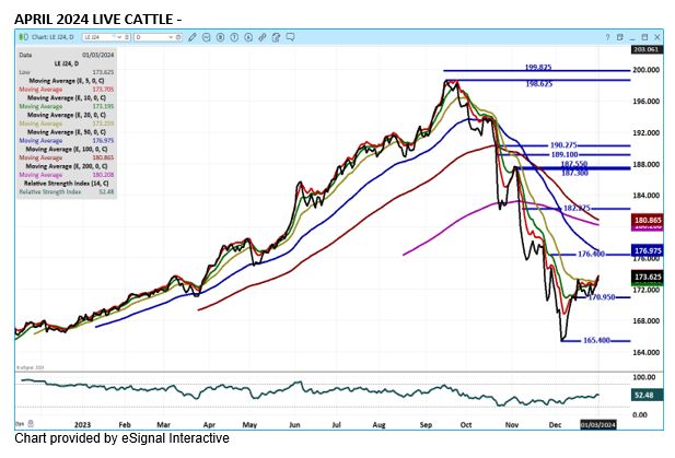 Bullishness For Cattle Futures? - Archer Financial Services