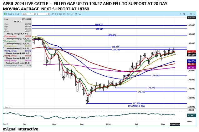 Live Cattle Market Tumble? - Archer Financial Services