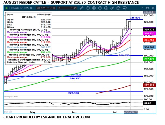 Feeder Cattle Open Interest Steadily Moving Up - Archer Financial Services