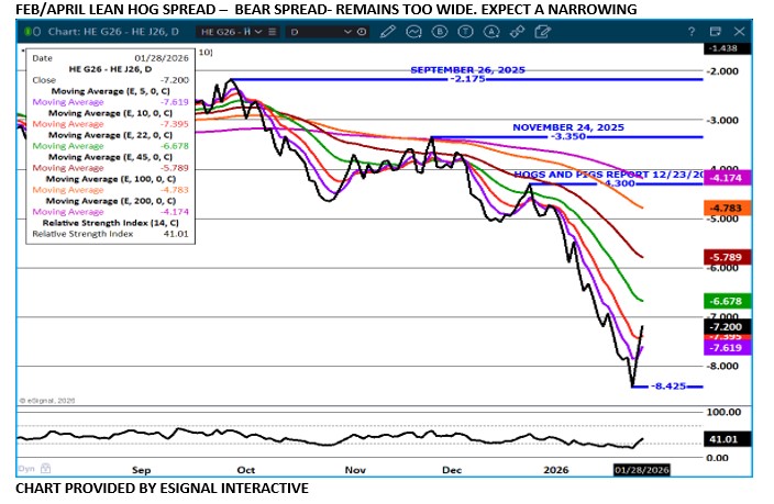 Lean Hog Futures Dominated by Speculators - Archer Financial Services